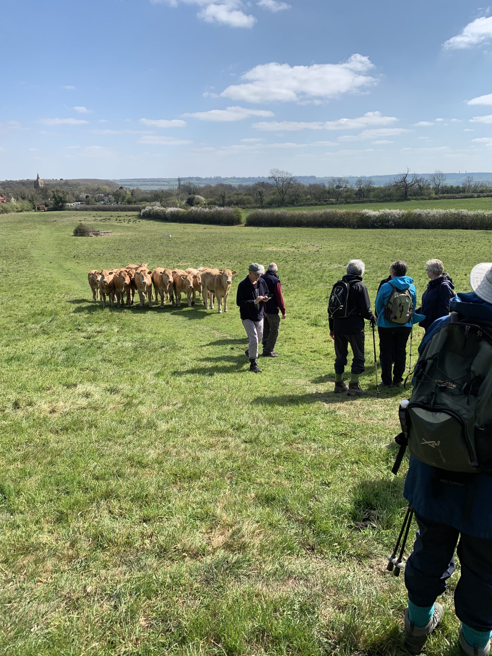 Join us for a walk - Peterborough Ramblers