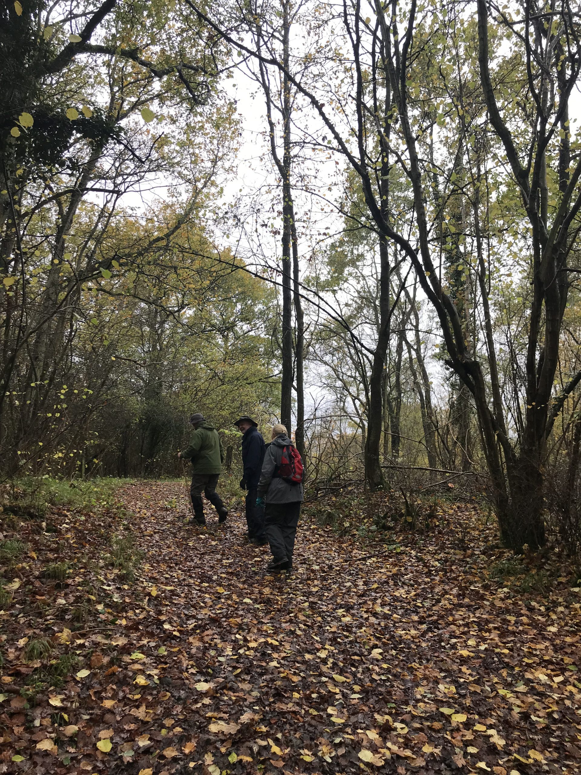 The King's (Kings) Cliffe (Cliff) walk November 2022 - Peterborough ...